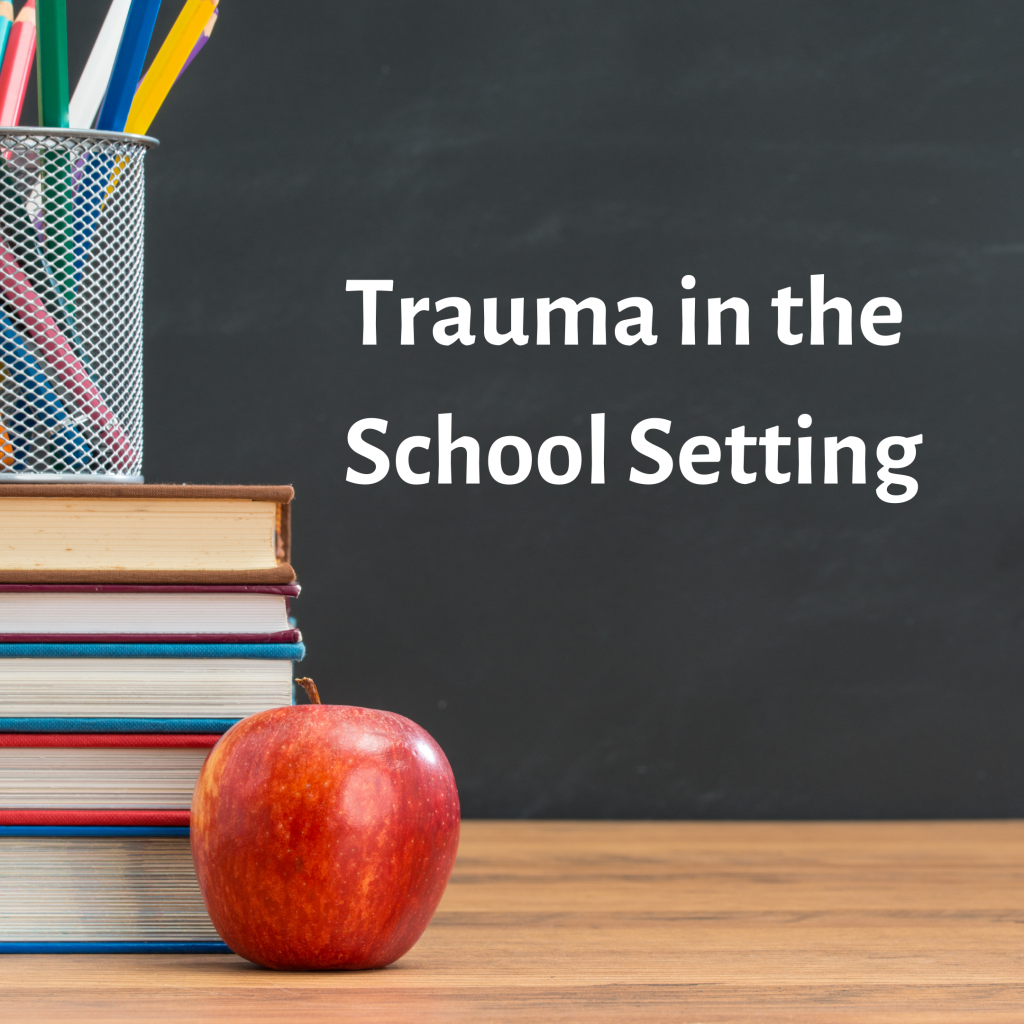 Trauma In The School Setting Your Mental Health Coach With Michelle trauma-in-the-school-setting-your-mental-health-coach-with-michelle